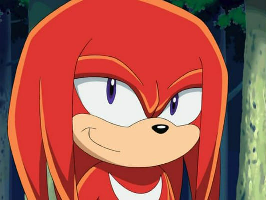 What does Knuckles think of you? - Quiz | Quotev
