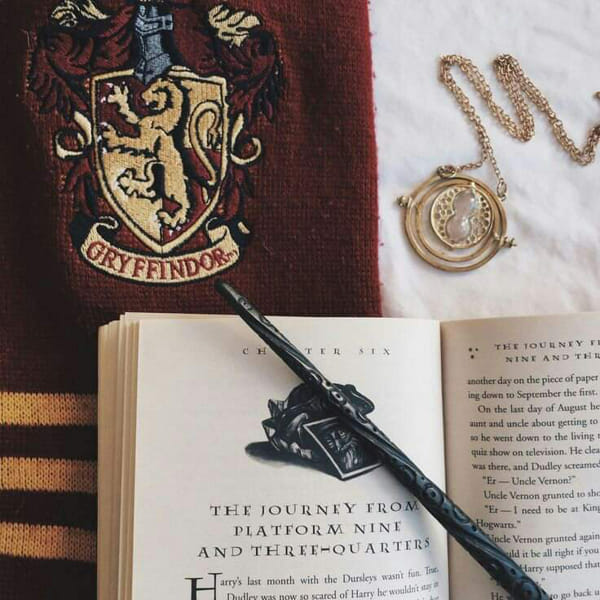 Your Hogwarts Life- Harry Potter Door Game - Quiz | Quotev