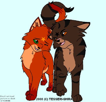 Firestar And Tigerstar Firestar And Tigerstar