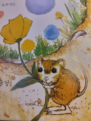 your quotev experience - Survey | Quotev