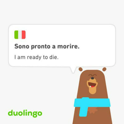 Pick some unhinged Duolingo sentences and get a dream SMP member - Quiz ...