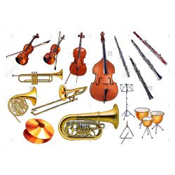 Which musical instrument are you? - Quiz | Quotev