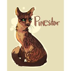 How much do you know about Pinestar? (Spoilers) - Test | Quotev