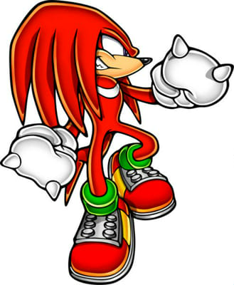 What does Knuckles think of you? - Quiz | Quotev