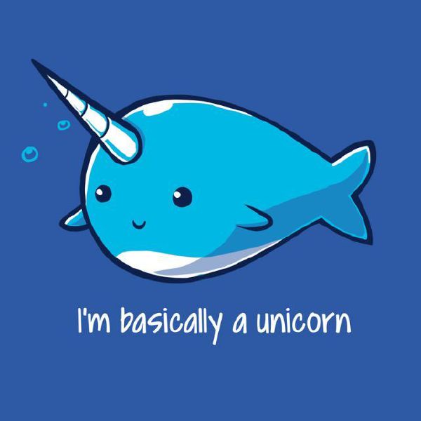 The Awesome Narwhal | Quotev