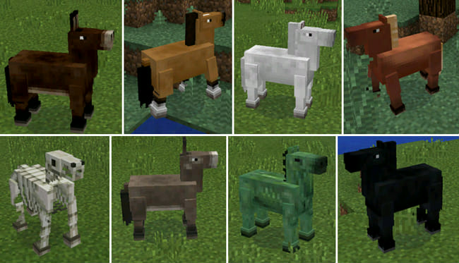 What color Horse should you have in Minecraft? - Quiz | Quotev