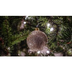 What Holiday are you? (Personality Quiz) - Quiz | Quotev