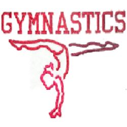Should You Do Gymnastics (If you don't go to gymnastics) - Test | Quotev