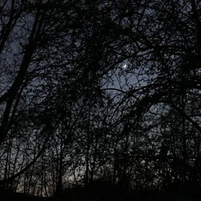 Journal | Layouts | Quotev