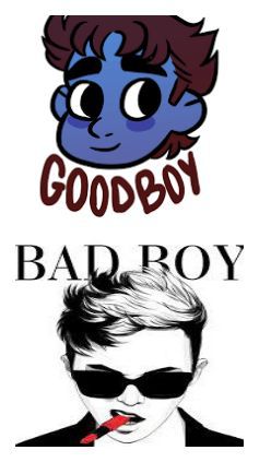 The Bad Boy or The Good Boy - Quiz | Quotev