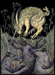 What Mythical Rabbit Are You? - Quiz | Quotev