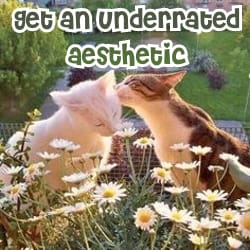 Get an Underrated Aesthetic - Quiz | Quotev