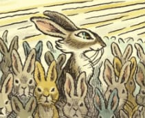 Which Watership Down character are you? - Quiz | Quotev