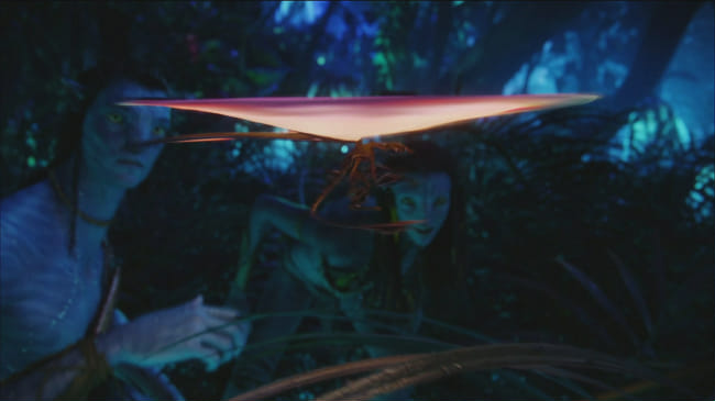 Na'vi name. (Girls only) - Quiz | Quotev