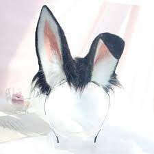 therian ears game - Quiz | Quotev