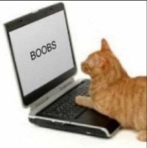 Darling Doll | Quotev