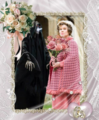 Shipper or Ripper ! Harry Potter Edition - Quiz