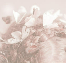 What kind of Pretty are you? - Quiz | Quotev