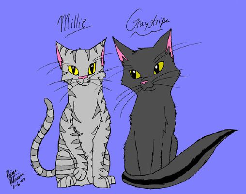 Who are the most popular warrior cats characters? (Survey) - Survey ...