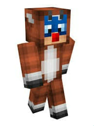 Can you name the DSMP characters by their Minecraft skin? - Test | Quotev