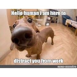 Are you a relatable person? - Quiz | Quotev