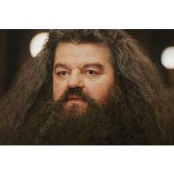 Write a letter to Hagrid! - Quiz | Quotev