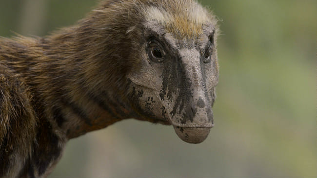 What dinosaur are you? - Quiz | Quotev