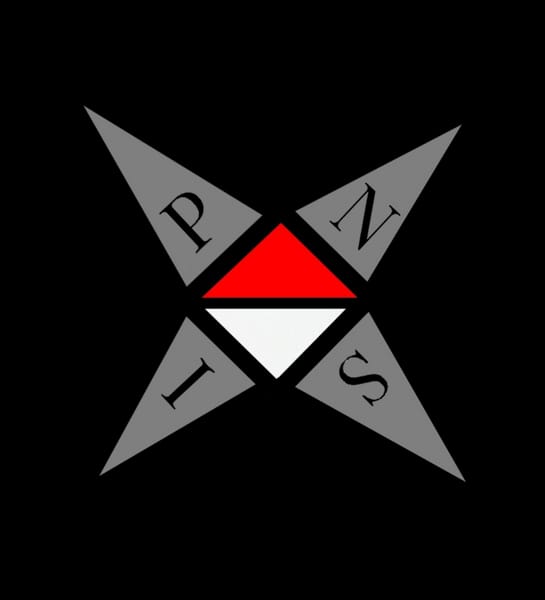 The Return of PNSI 1 - DO YOU REALLY KNOW PNSI ORGANIZATIONS? [Easy ...