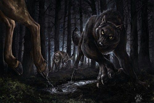 How well do you know Whisper a.k.a me, from the story "The Werewolf and ...