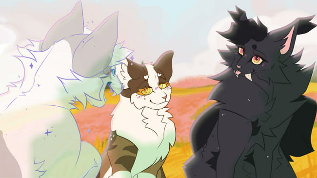 Ship or Rip? WC! - Survey | Quotev