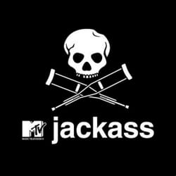 What Jackass Character are you?(For Boys & Guys) - Quiz | Quotev