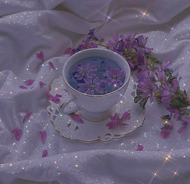 Mel's Pink Bus | Quotev