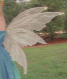 what are your hidden wings? - Quiz