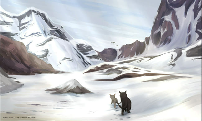 Do the IceClan Cats like you? - Quiz | Quotev