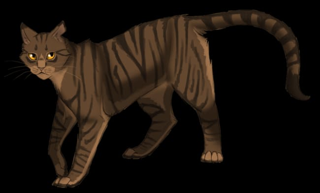 How well do you know Tigerstar the 2nd? - Test