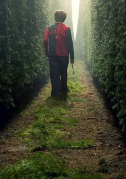 Would you survive the tri wizard tornament - Quiz | Quotev