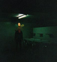 TWOMP knowledge test! - Test | Quotev