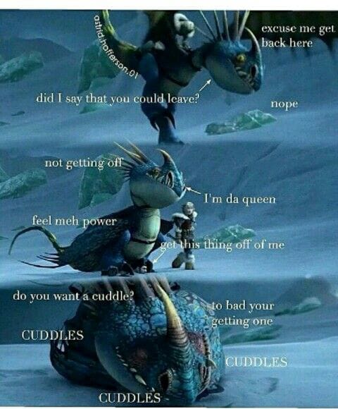 Httyd memes - Quiz | Quotev