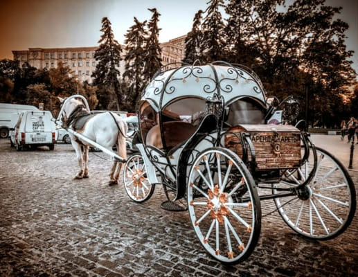 Fairy School #5 - Date for the Fey Ball ;) - Quiz | Quotev