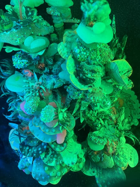 Published | Absent Chaos | Quotev