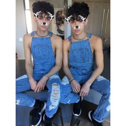 How well do you know the Dobre twins? - Test | Quotev