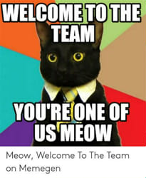 Are you fit to be in team MEOW? - Quiz | Quotev