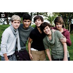One Direction Horror Quiz Pt.1 - Quiz