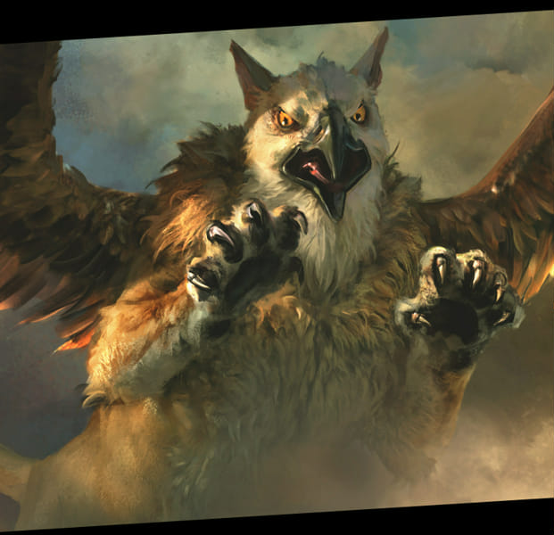 What Type Of Griffin Are You? - Quiz | Quotev