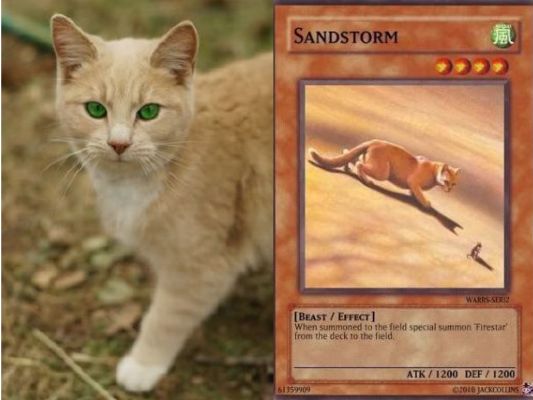 How Well Do You Know Sandstorm - Test | Quotev