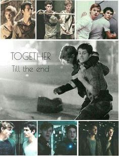 Maze Runner Life - Quiz