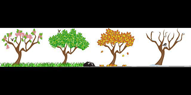 What season are you? - Quiz | Quotev