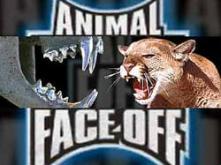 Animal Face Off - Survey | Quotev