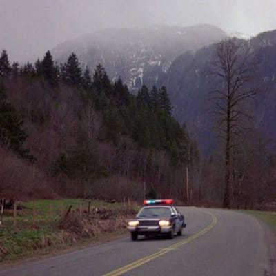 Which Slasher Movie Character Trope Are You? - Quiz | Quotev