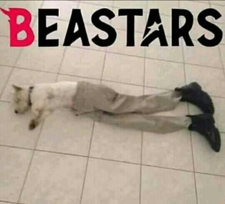 Beastars memes - Quiz